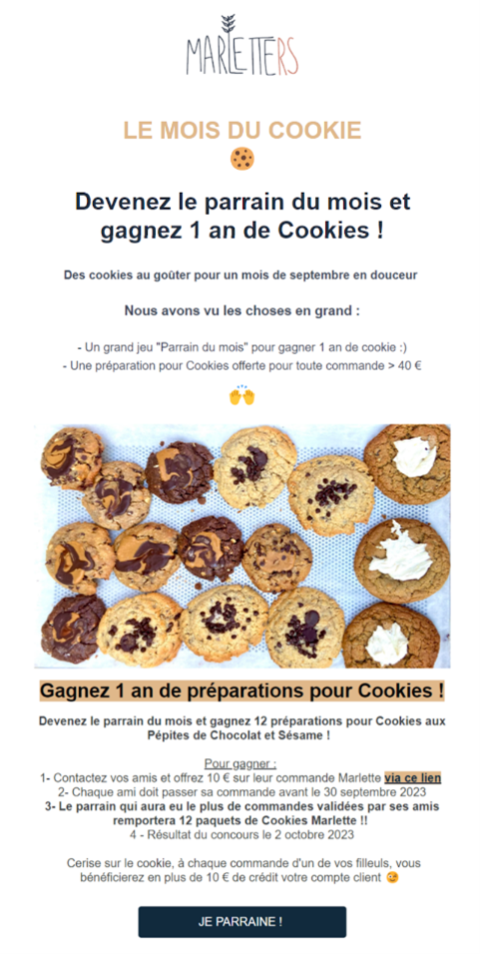 8 exemples de mails pour vendre un produit - The Wonder Success